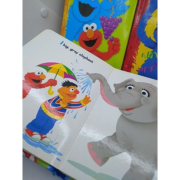 Sesame Street | Toys | 1 Bundle Sesame Street Young Reader Opposite ...